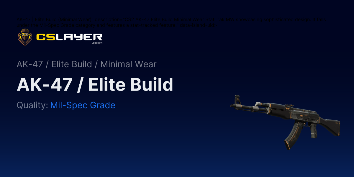 CSLayer - StatTrak™ AK-47 | Elite Build (Minimal Wear)